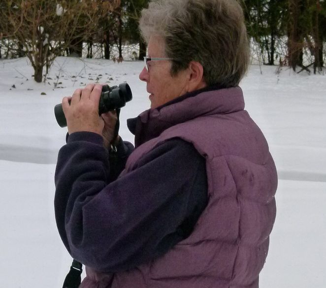 Project FeederWatch is for the birds | Simcoe Reformer