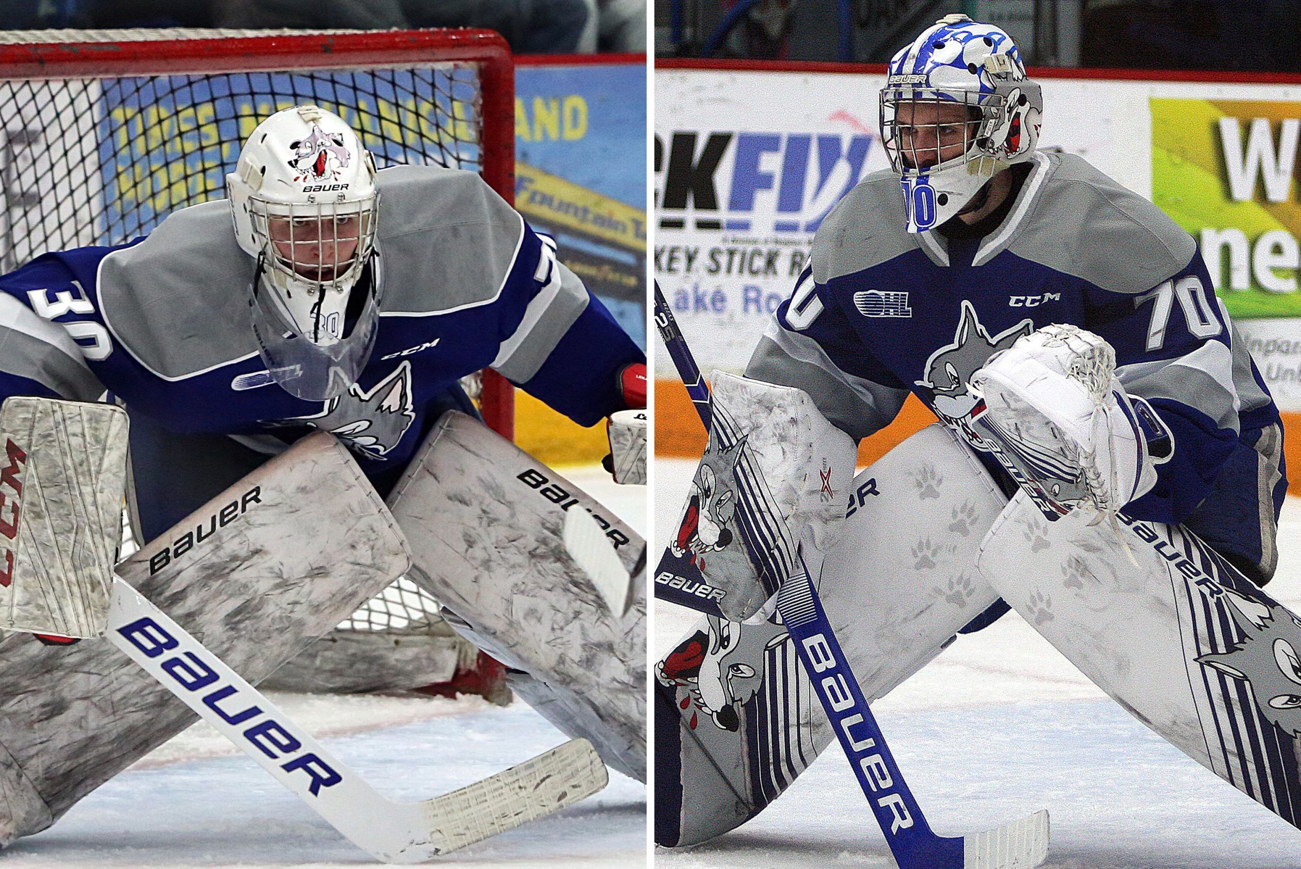 Wolves goalies hoping to show they’ve improved | Sudbury Star