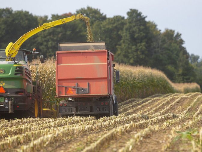 Alltech warns of toxins in silage | Ontario Farmer