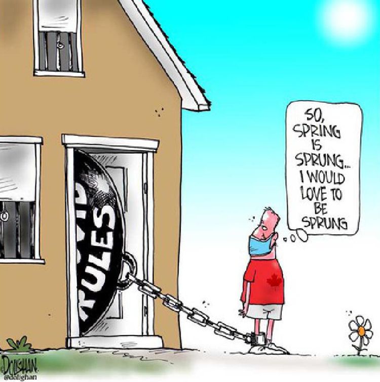 The impulse for more control | Kincardine News