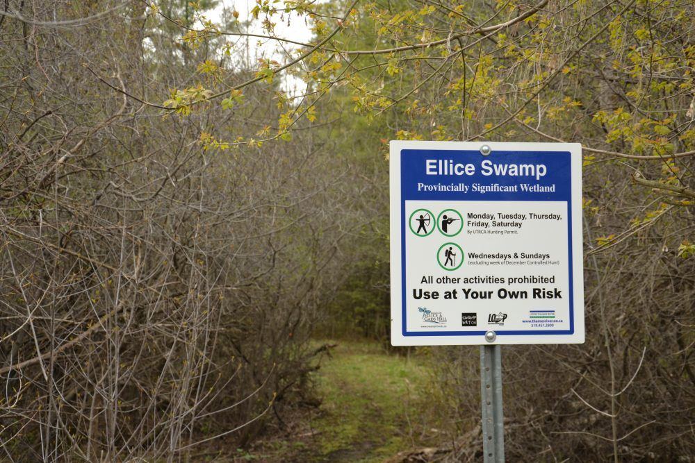 UTRCA-owned Perth County wetland recognized as protected and conserved ...