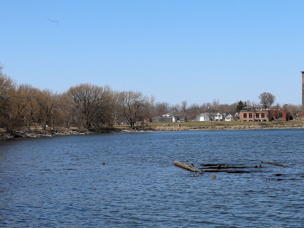 Kingston Inner Harbour cleanup can be done safely, RMC researchers say ...