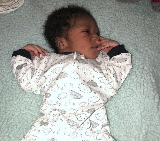 Meet Sudbury's newest arrivals (updated) | Sudbury Star