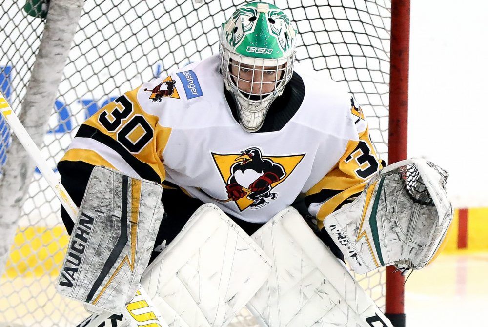 Brett Brochu gets tryout with AHL’s Manitoba Moose | Chatham Daily News