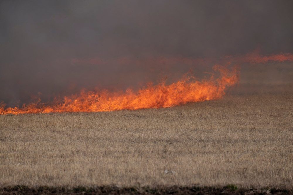 County of Grande Prairie fights wildfire over night | Grande Prairie ...