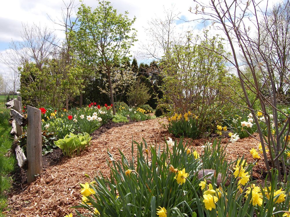 An old-fashioned gardening Q and A | Ontario Farmer