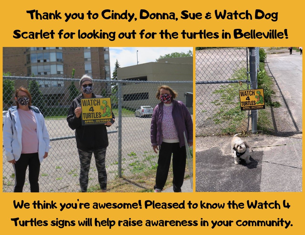 Belleville installs new Watch 4 Turtles signs | Belleville Intelligencer