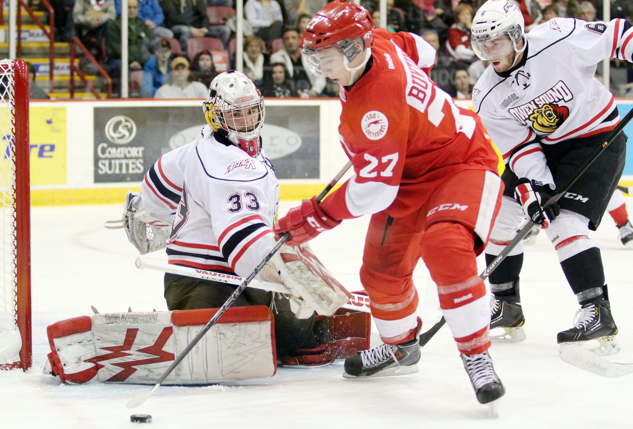 Michael Bunting bound for Maple Leafs | Sault Star