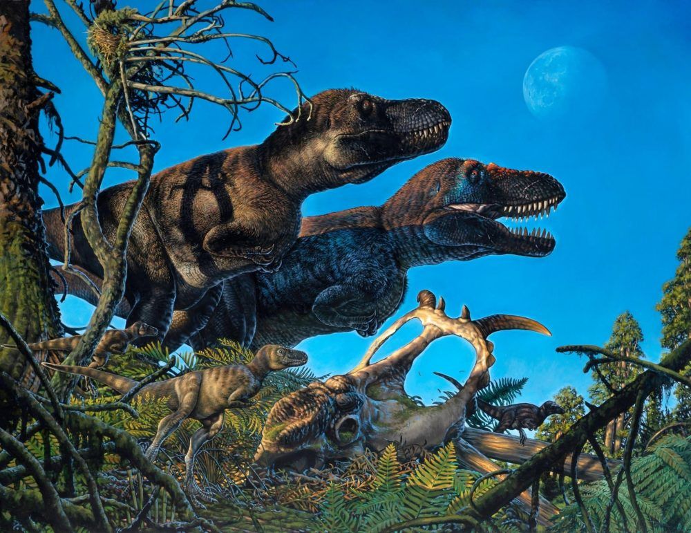 Dino News & Views: Dinosaurs on Top of the World | Grande Prairie Daily ...