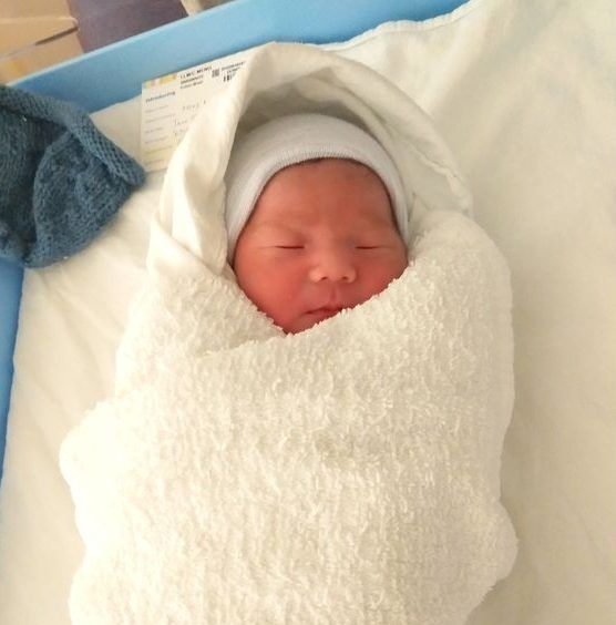 Introducing Sudbury's newest arrivals | Sudbury Star