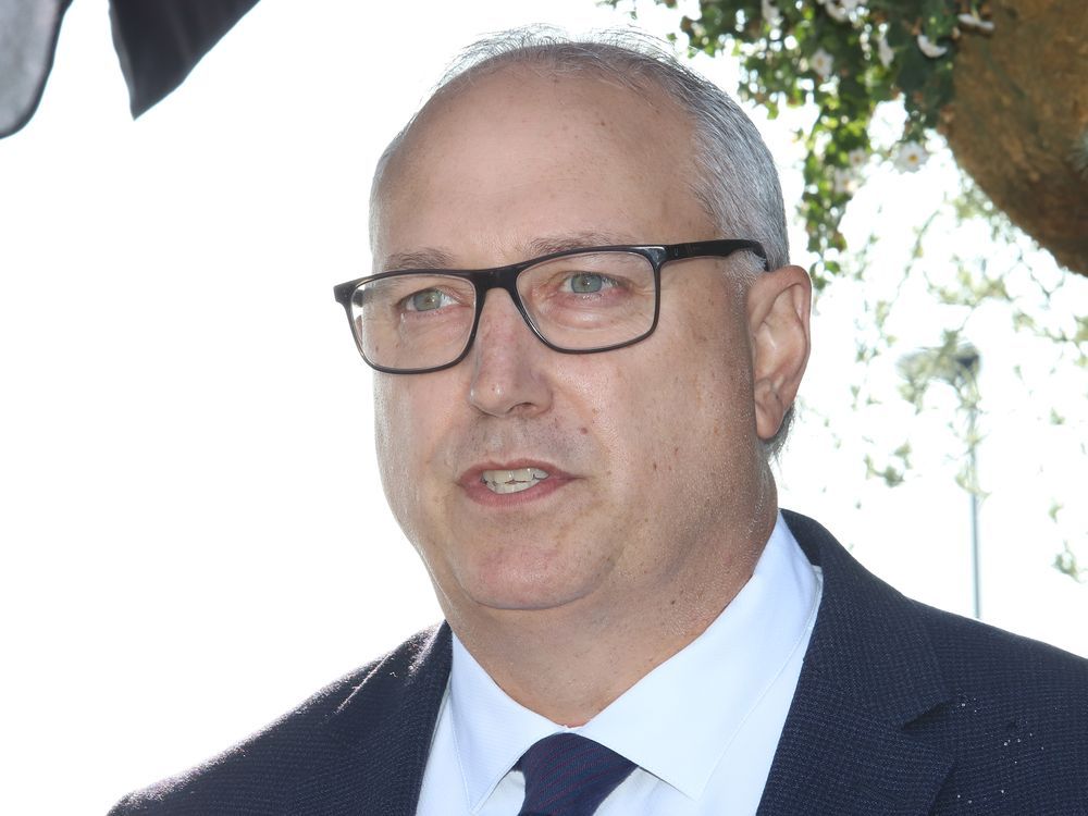 Wolf Tracks: Story of the dog that’s not lost | Sudbury Star