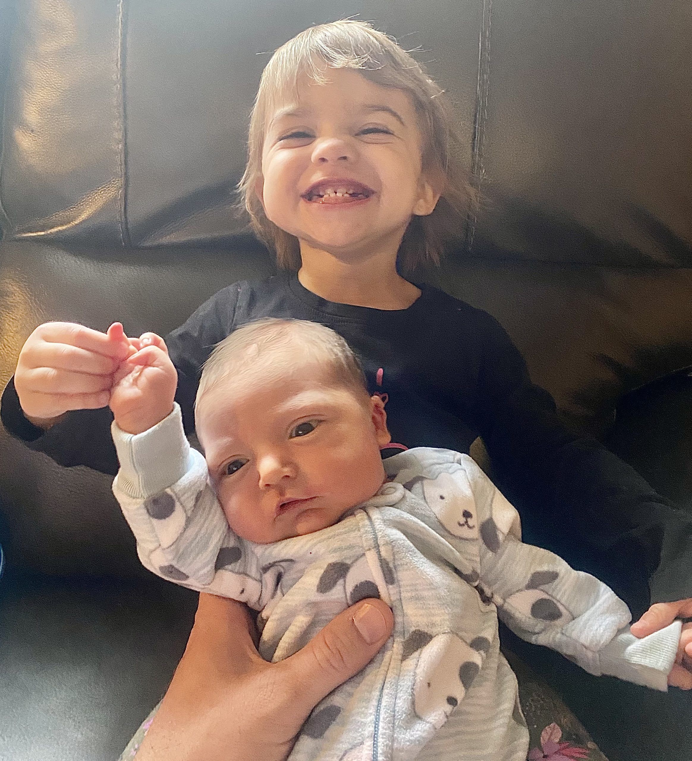 Here are Sudbury's newest additions | Sudbury Star