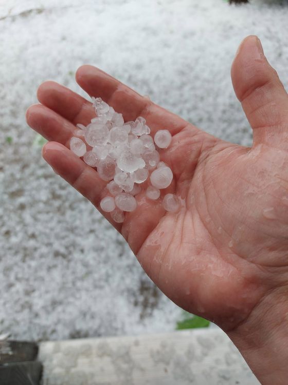 Damaging hail hits parts of Port Dover area | Brantford Expositor