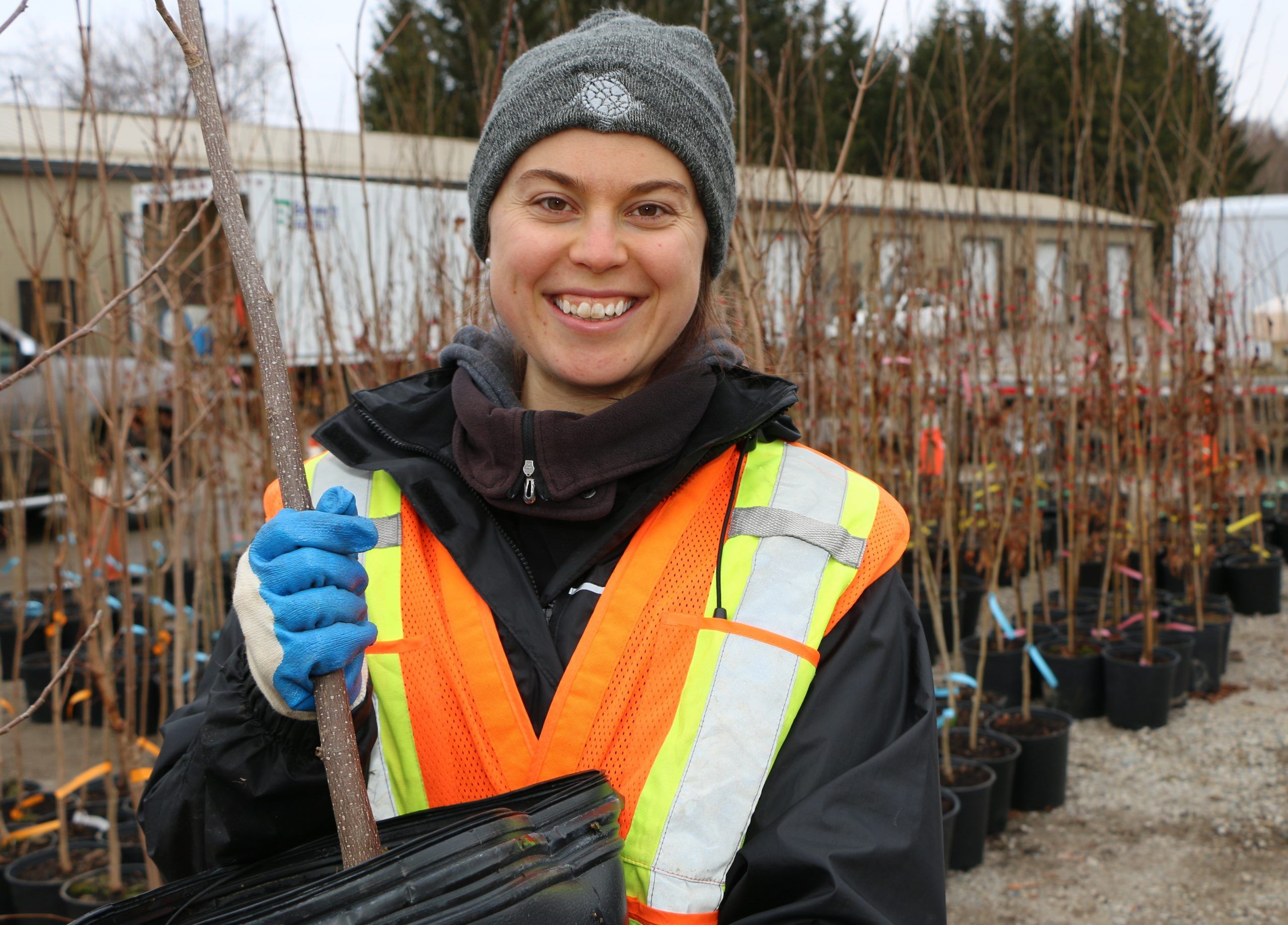 Perth South partners with UTRCA to increase township's tree canopy ...
