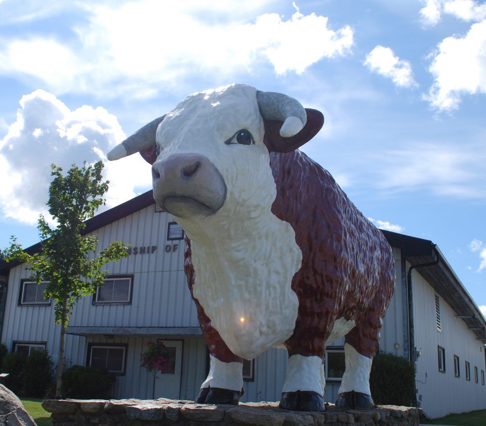 Big Bruce named Ontario's greatest roadside attraction | Owen Sound Sun ...