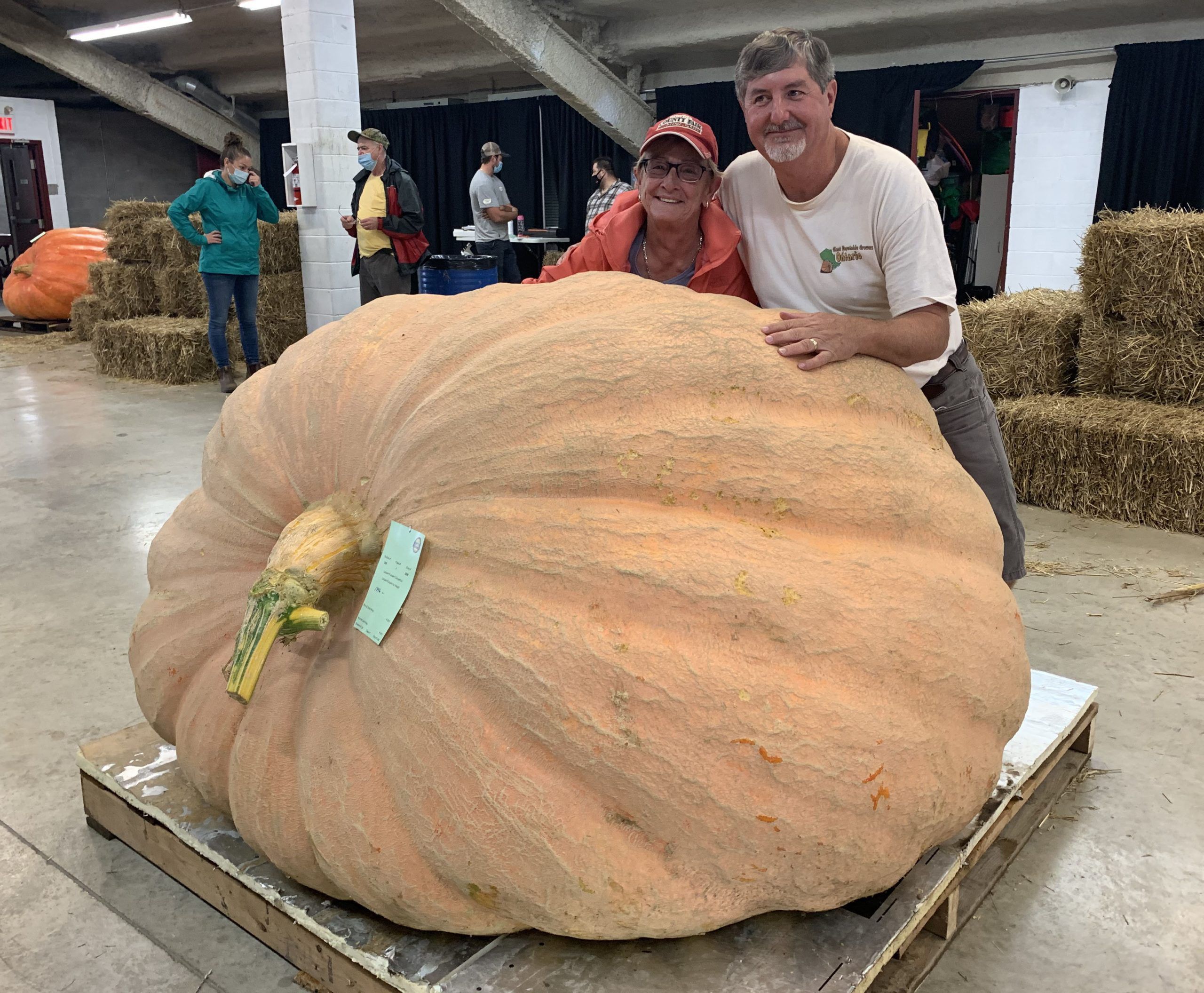 'Frank' helps couple capture giant pumpkin contest | Brantford Expositor