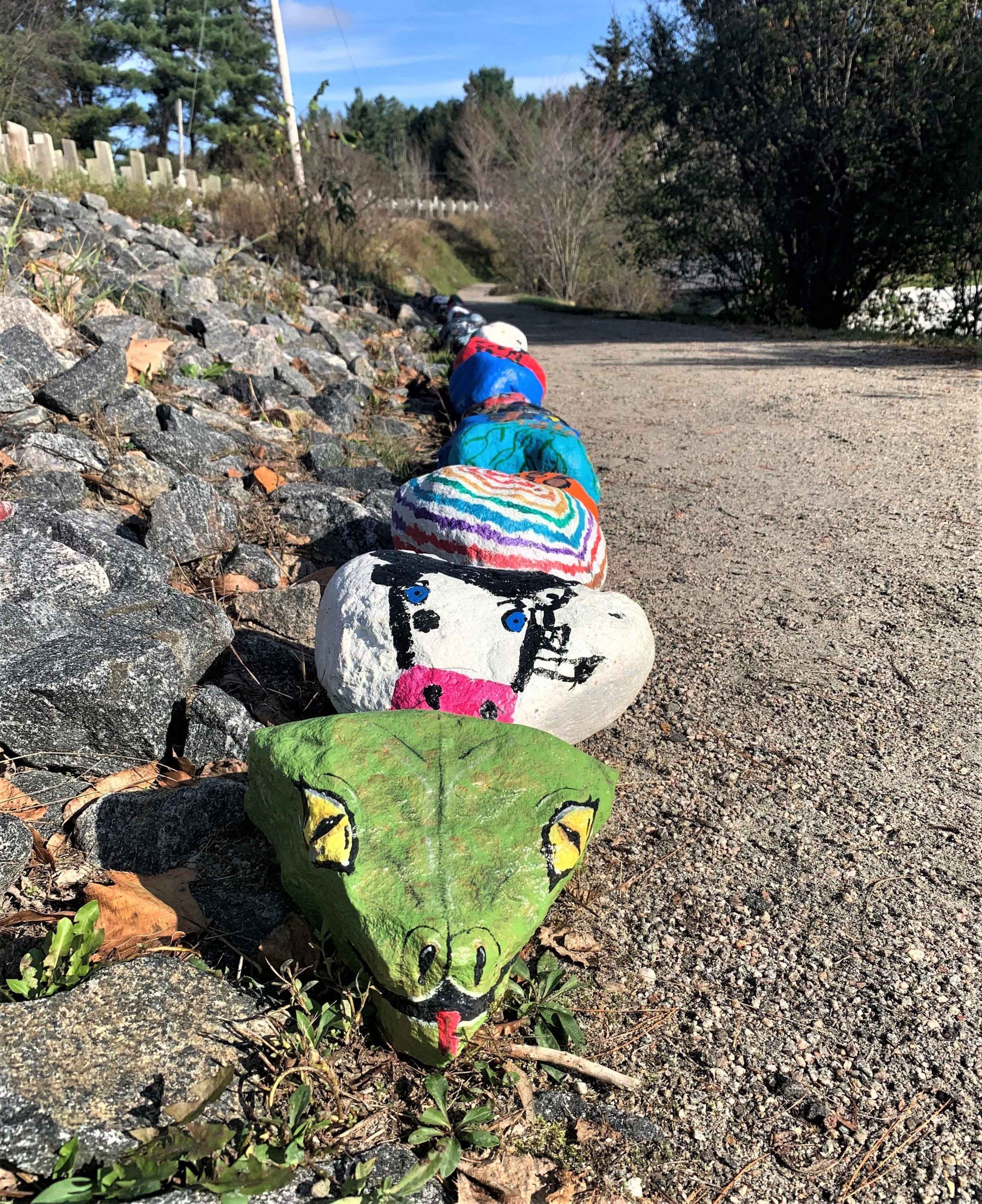 Magnetawan starts its own Rock Snake Project | North Bay Nugget