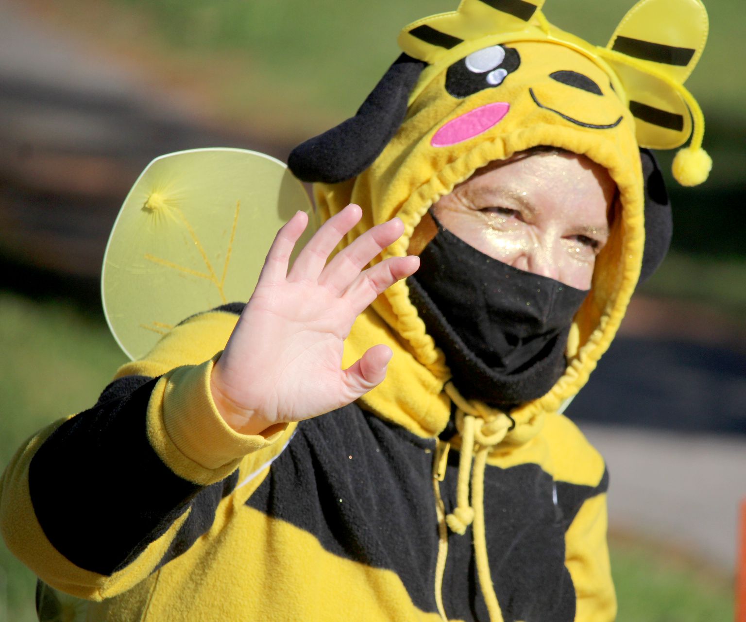 Making a beeline for treats | Sault Star