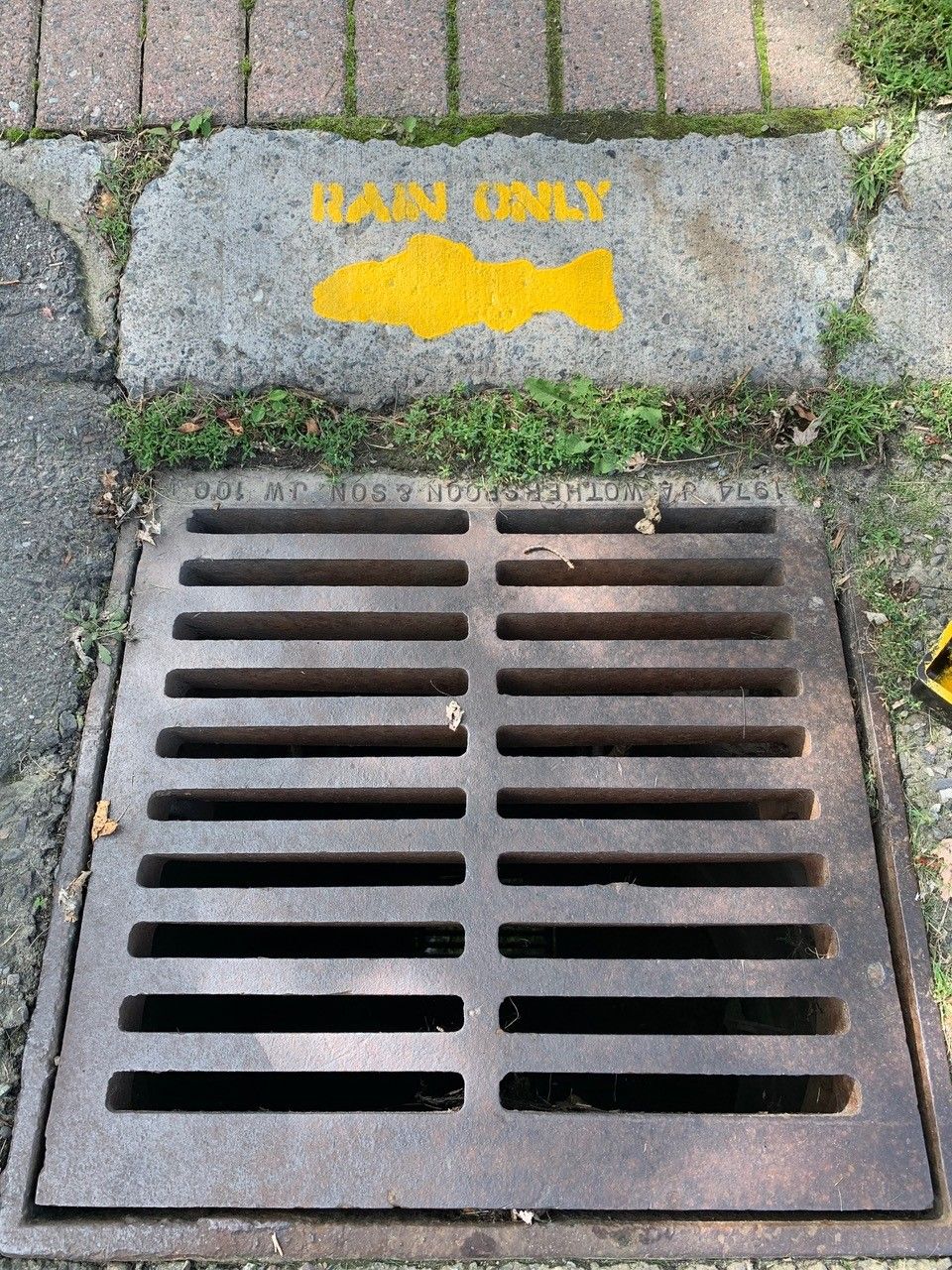 Students highlight water concerns with storm drain symbols | Sudbury Star