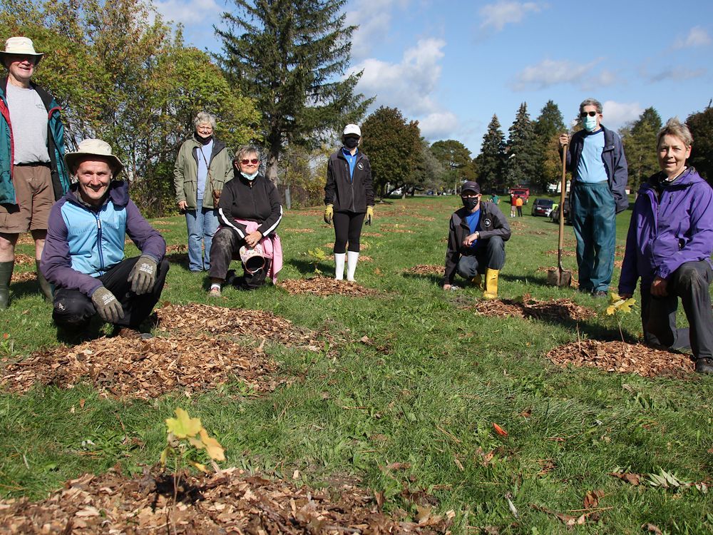 Rainbow Park tree-planting project helps create bird habitat | Sudbury Star