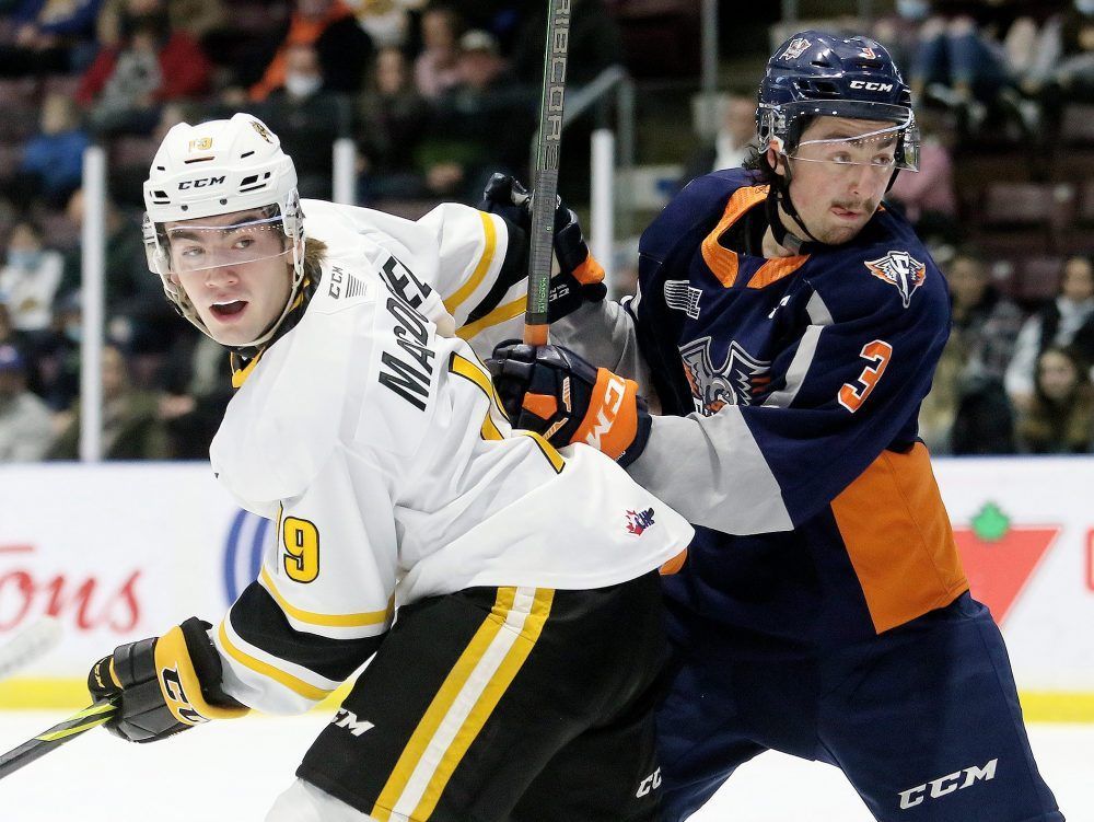 Sting's skid hits three games with loss to Firebirds | The Sarnia Observer