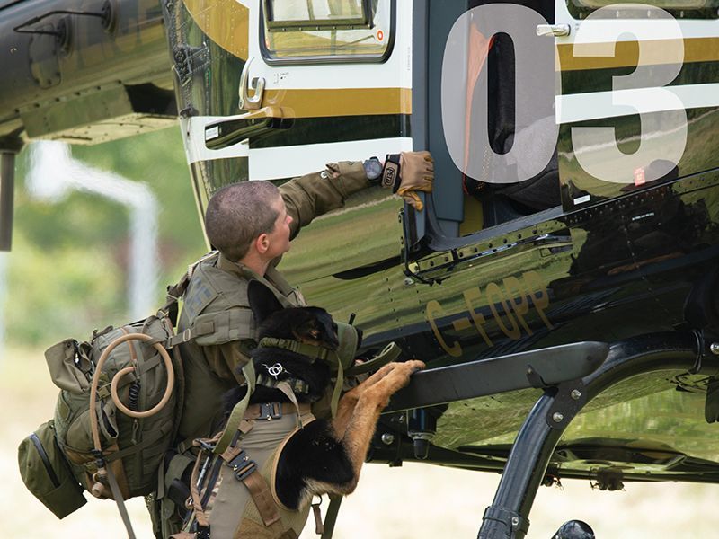 Calendar showcases role of OPP dogs | Brantford Expositor