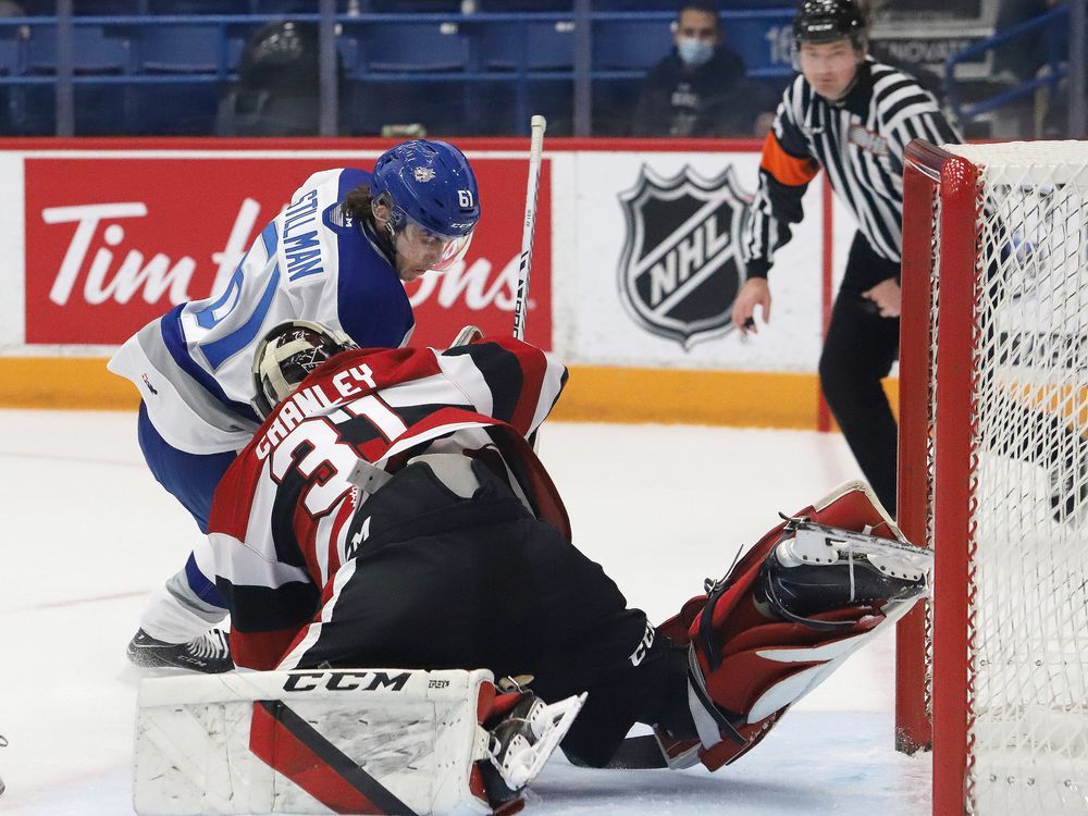The game in photos: Sudbury Wolves 4, Ottawa 67s 0 | North Bay Nugget