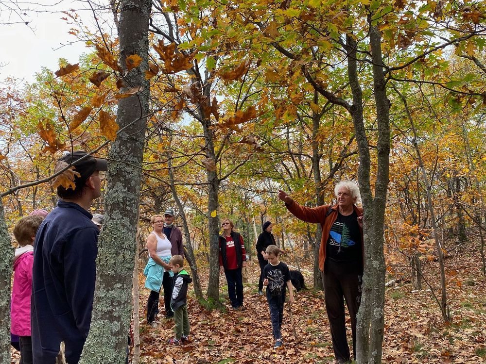 Annual Thanksgiving walk in Sudbury set for Oct. 14 | Sudbury Star