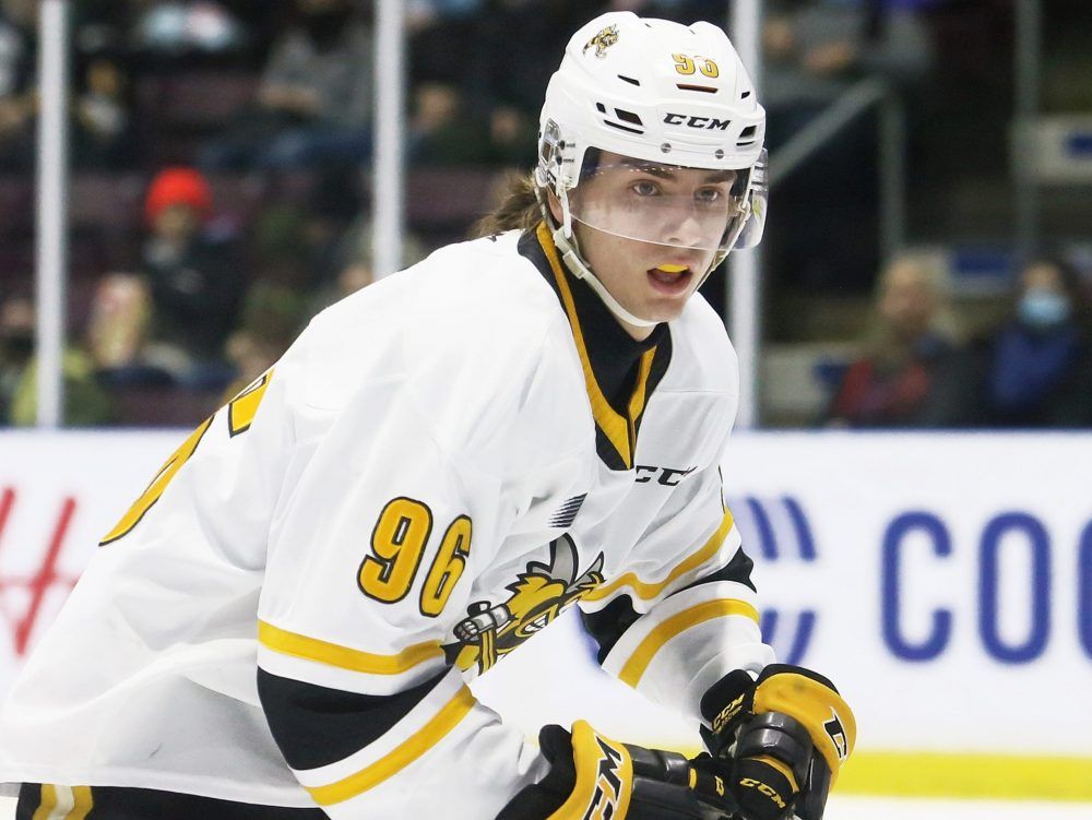 Sting players heading off to NHL camps | The Sarnia Observer