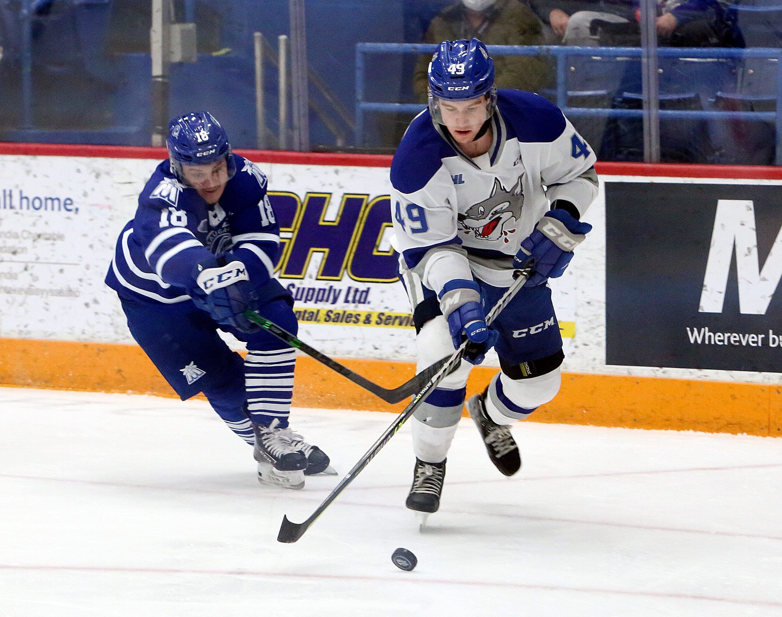 Wolves deal Payton Robinson to Guelph for draft pick | Sudbury Star