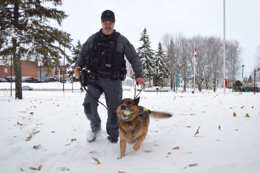 Sudbury police, community salute legendary canine Scout | Sudbury Star