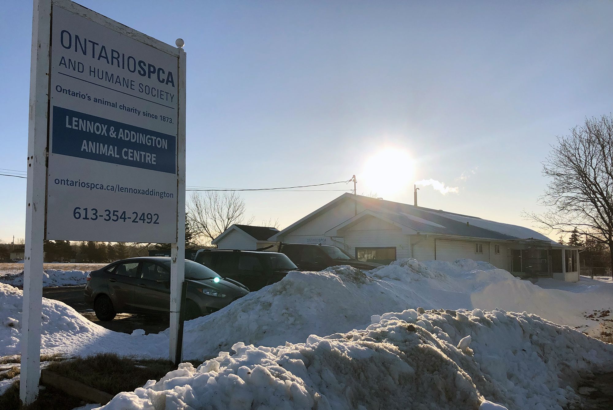 OSPCA L&A Animal Centre closed, desperate for funds to fix pipes | The ...