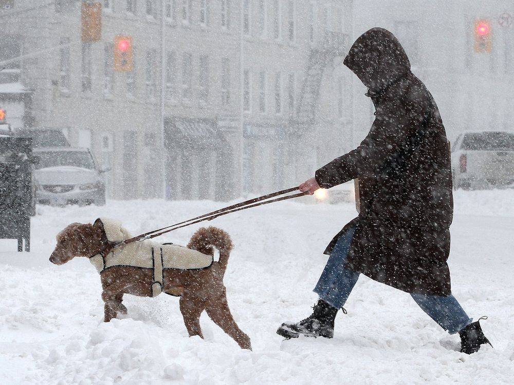 Vulnerable population urged to stay indoors during extreme cold | The ...