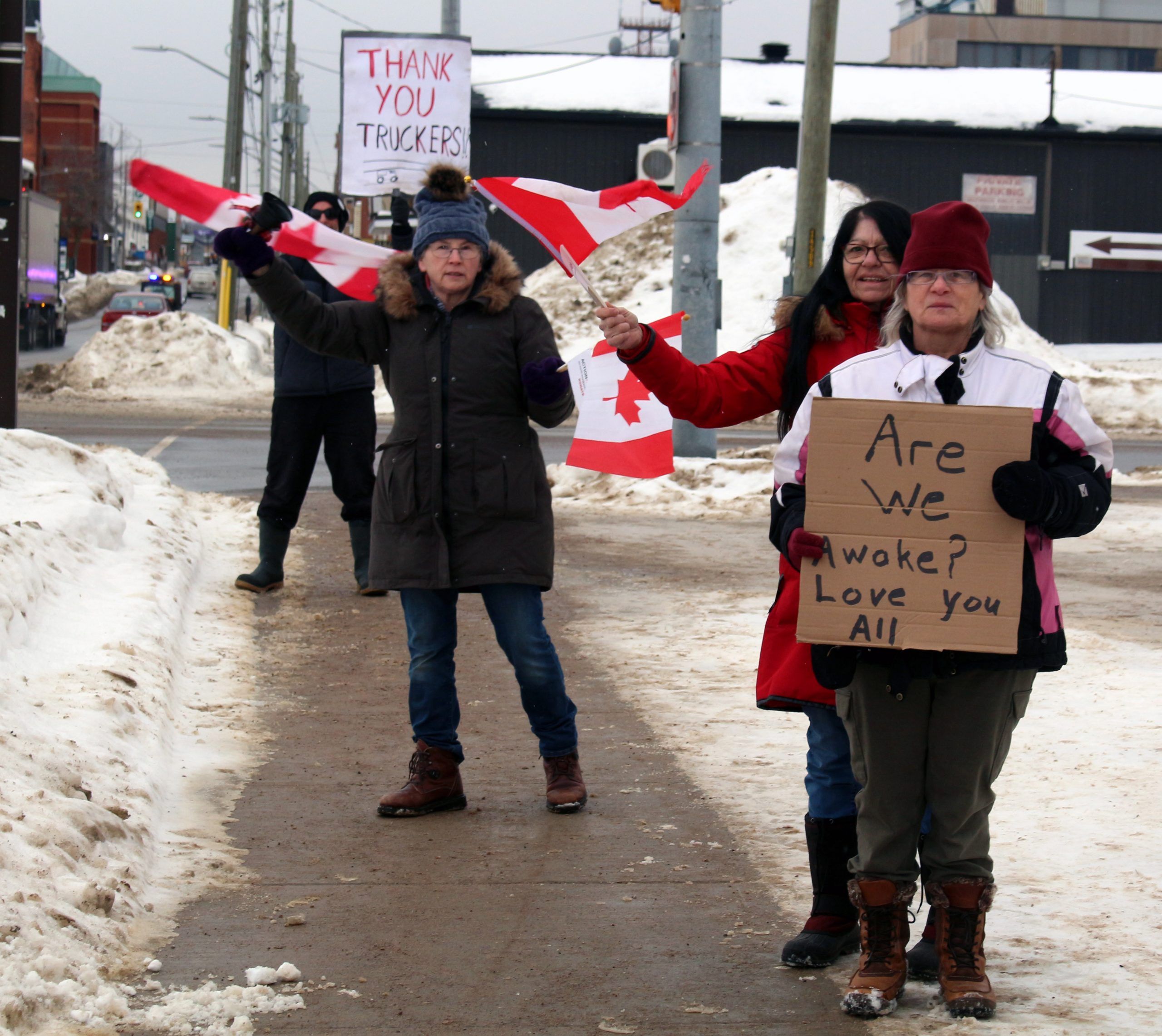 Protesters honk horns, wave flags at city hall | North Bay Nugget