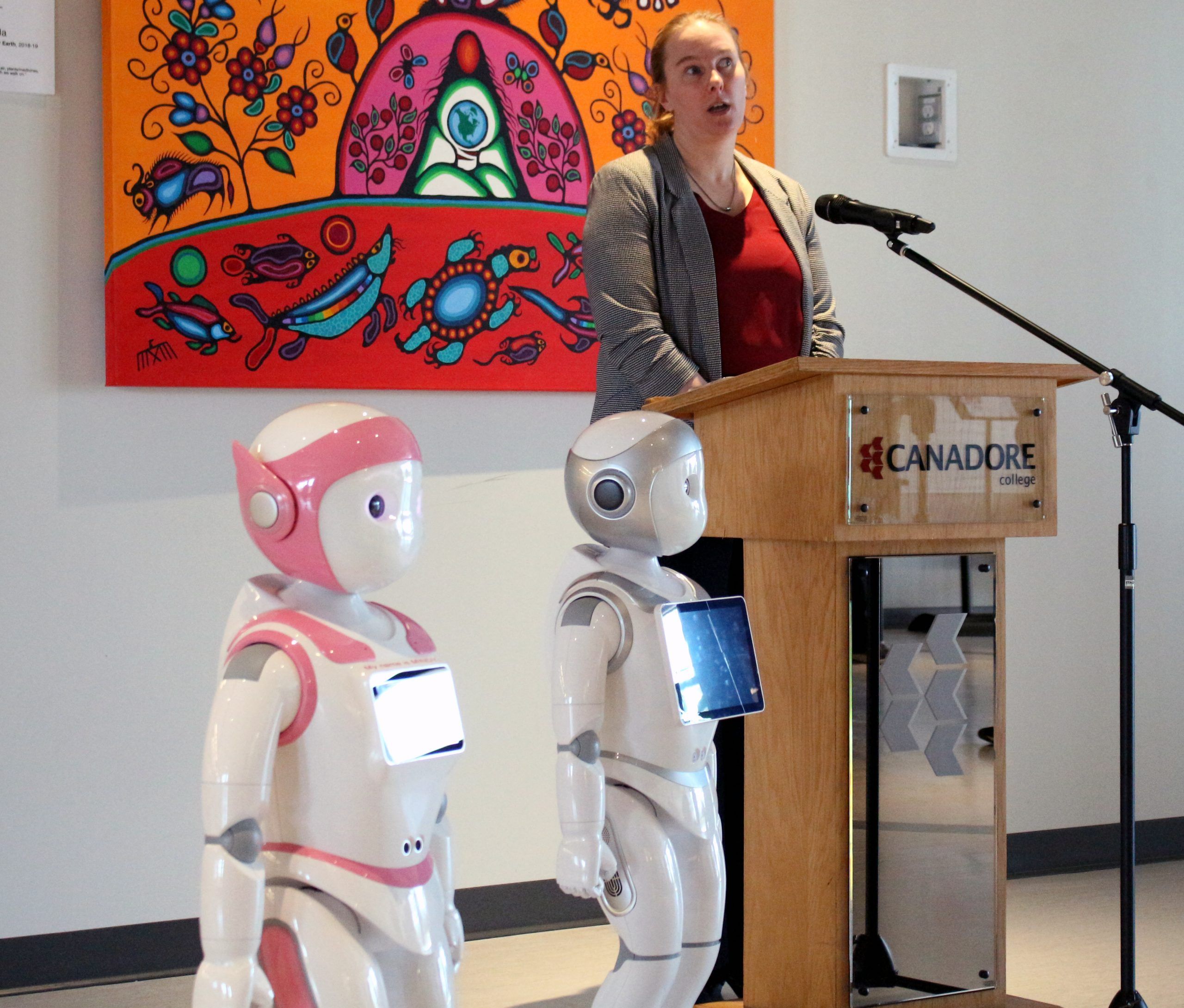 North Bay robotic project aims to help seniors fight isolation | North ...
