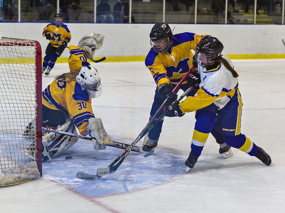 Girls high school hockey playoffs set | Brantford Expositor
