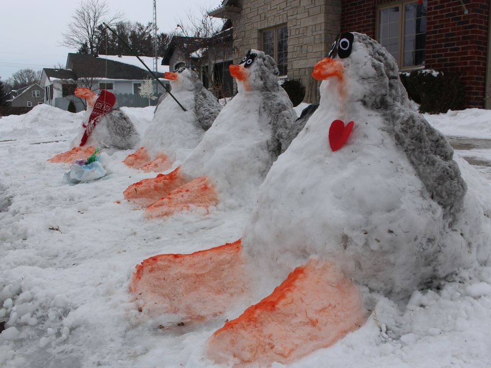 Point Edward announces winners of Snow Creation Challenge | The Sarnia ...