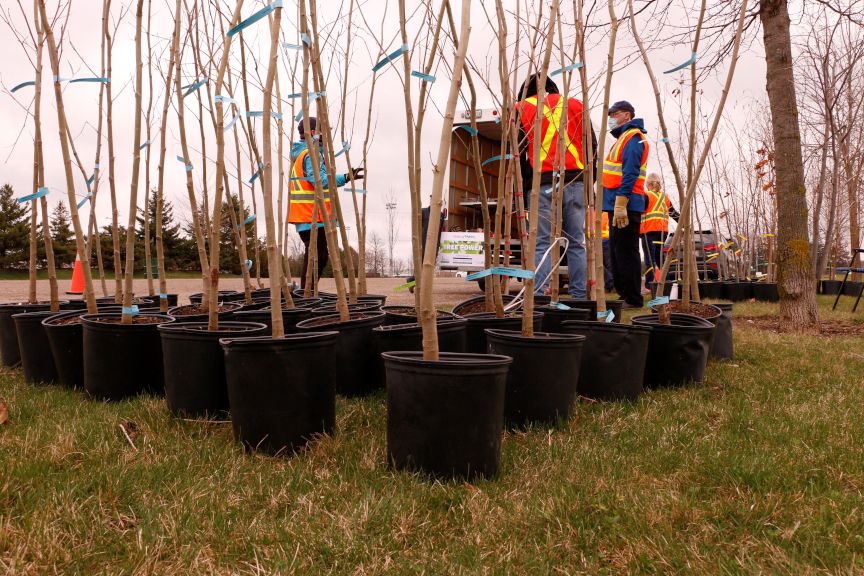 UTRCA and Festival Hydro bring Tree Power back to Stratford for second ...