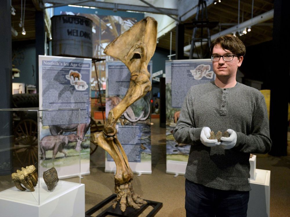 Exhibit brings ‘Norfolk’s ice age giant’ to life | St. Thomas Times-Journal