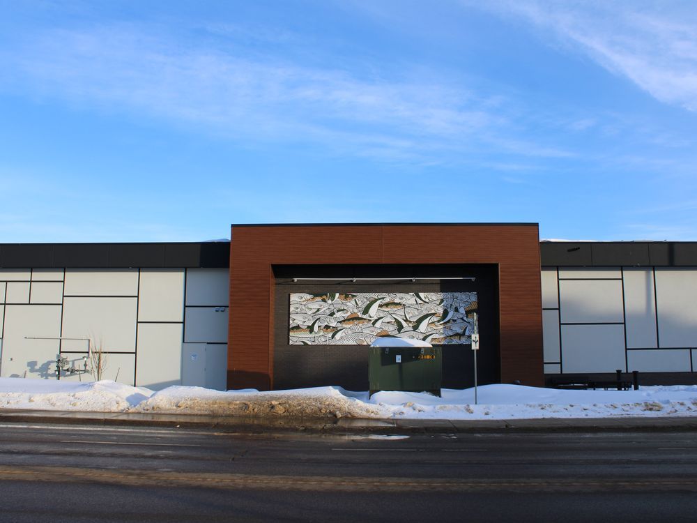 RMWB council approves DRIP expansion, but concerns raised about costs ...