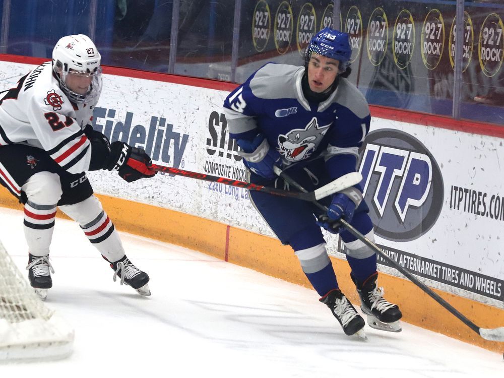 Vondras shines, Wolves unload on offence to beat IceDogs | Sudbury Star