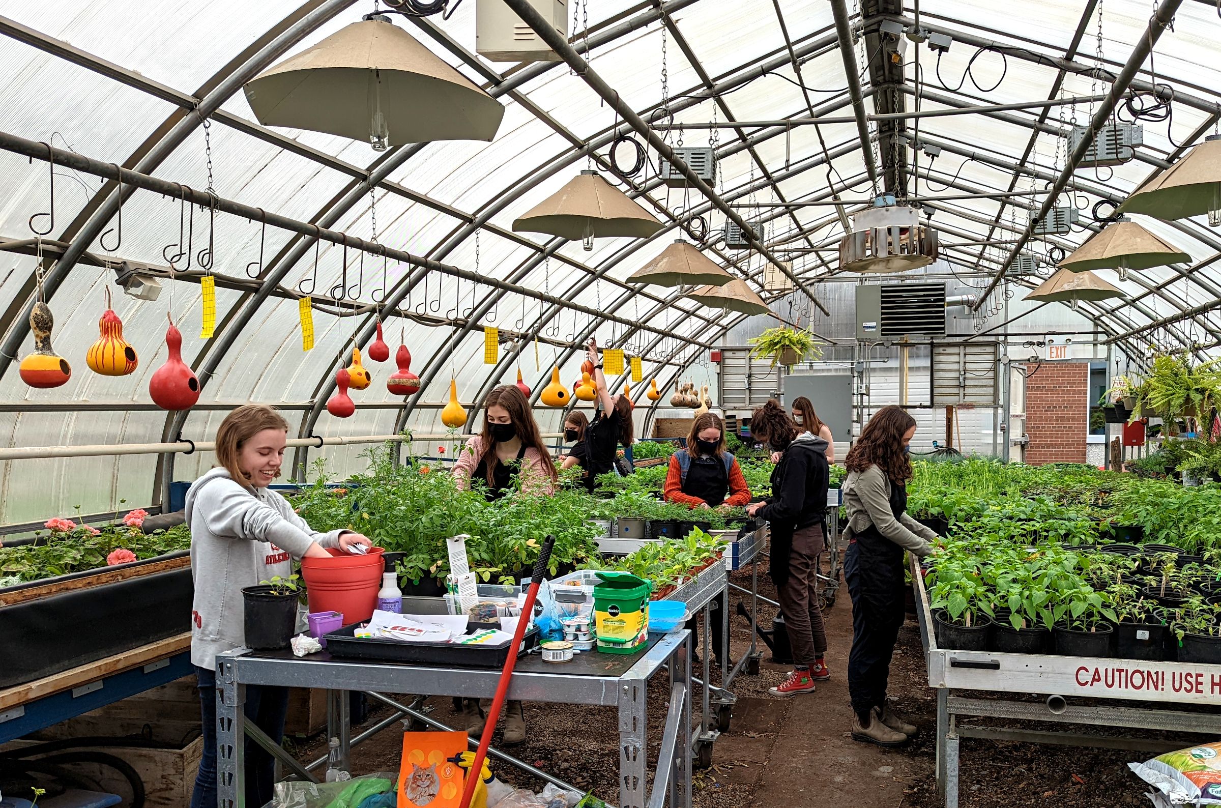 Green industries and manufacturing students team up for annual plant ...