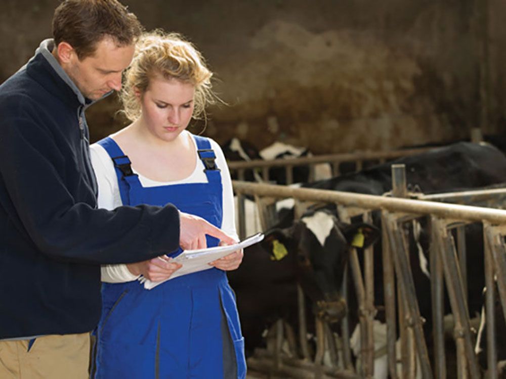 Having Effective Supervisors Mean Safe and Effective Business ...