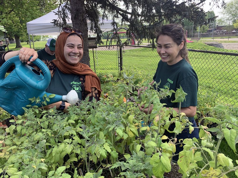 Community garden program expected to grow | Brantford Expositor
