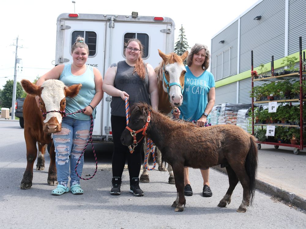 Corus Radio Cornwall's Stuff the Bus raises over $3,000 for the Agape ...