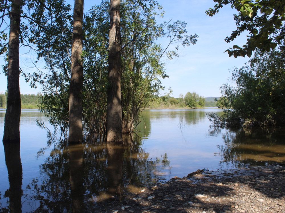 Fraser River along Prince George upgraded to flood watch | Prince ...