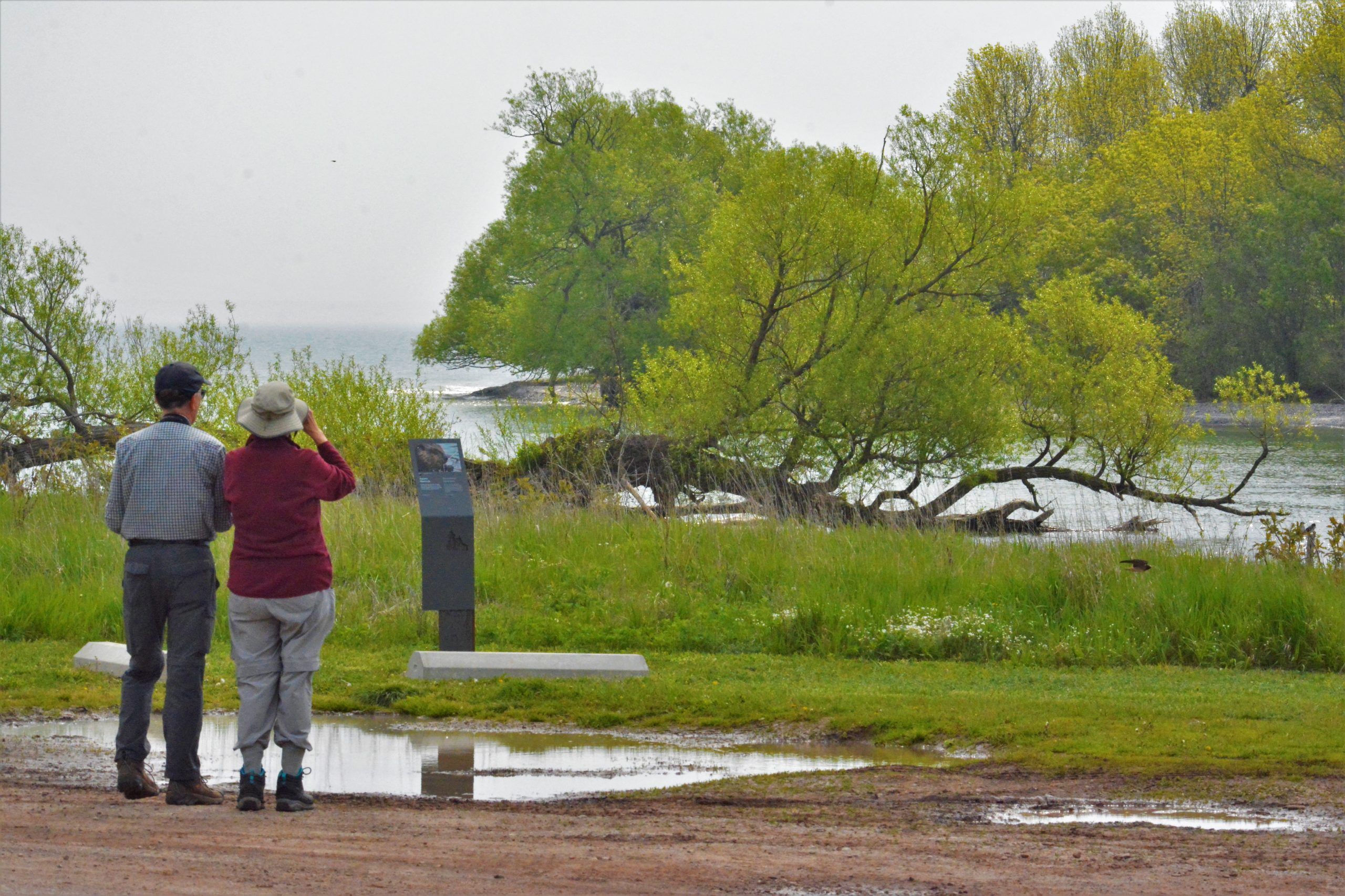 Prince Edward Point Natural Wildlife Area expanded to preserve wetlands ...