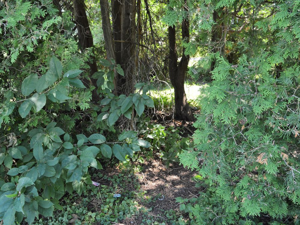 Homelessness remains present along Cornwall's waterfront | Cornwall ...