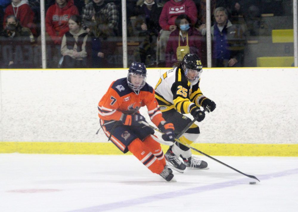 Acadie-Bathurst Titan sign Sault resident Mason Chitaroni | Sault Star