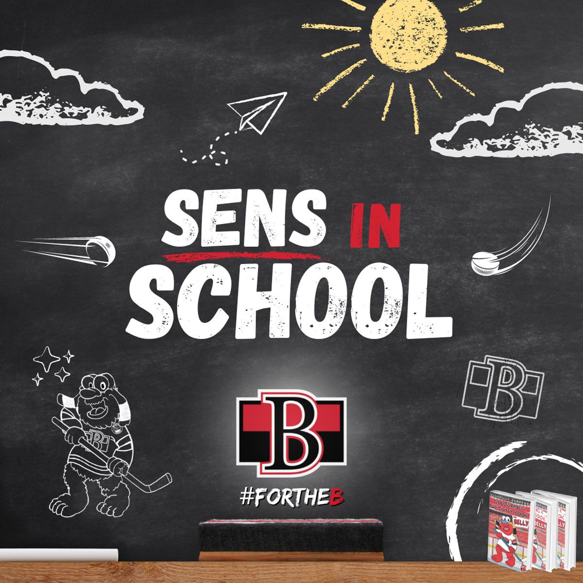 Sens in School program launches in conjunction with local school boards ...